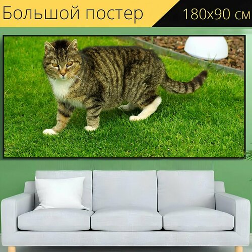 Большой постер "Домашняя кошка, женский, домашнее животное" 180 x 90 см. для интерьера