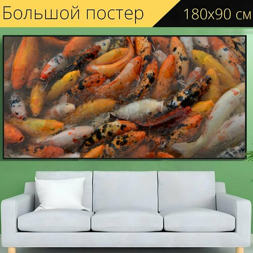Большой постер "Рыба, красный, плавать" 180 x 90 см. для интерьера