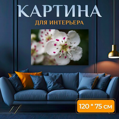 Картина на холсте "Пестики, цветочная пыльца, цвести" на подрамнике 120х75 см. для интерьера