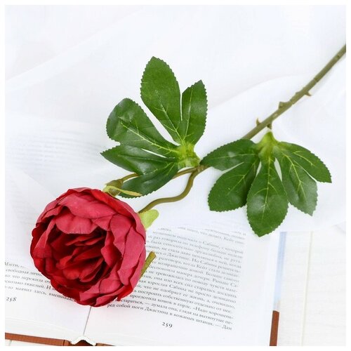 Poetry in flowers Цветок искусственный "Пышный пион" 7х47 см, бордовый