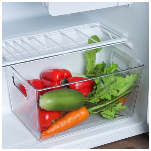 Органайзер для холодильника RICCO, 29×20,5×15,5 см, цвет прозрачный