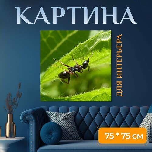 Картина на холсте "Муравей, лист, насекомое" на подрамнике 75х75 см. для интерьера