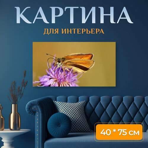 Картина на холсте "Бабочка, шкипер, природа" на подрамнике 75х40 см. для интерьера