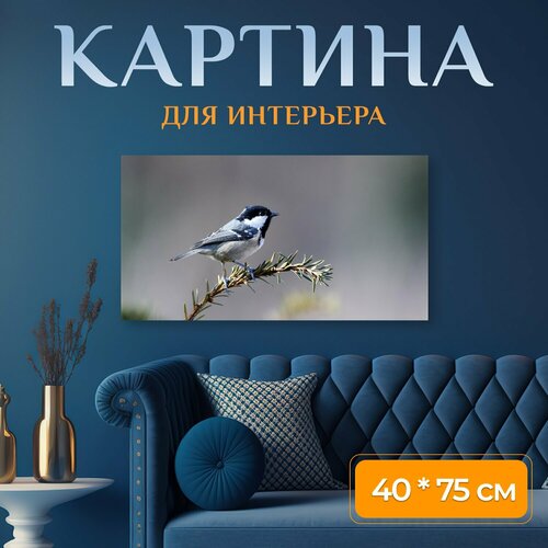 Картина на холсте "Каменная синица, птица, животное" на подрамнике 75х40 см. для интерьера