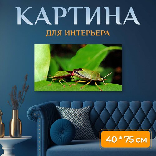 Картина на холсте "Жуки, макрос, насекомые" на подрамнике 75х40 см. для интерьера