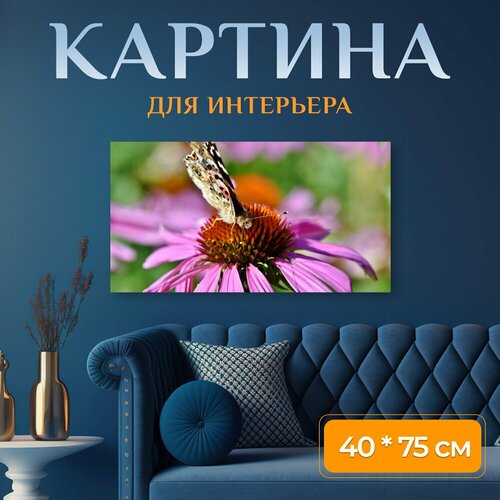 Картина на холсте "Бабочка, бабочки, летающее насекомое" на подрамнике 75х40 см. для интерьера