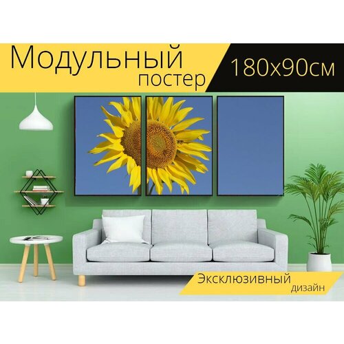Модульный постер "Подсолнух, солнечный, яркий" 180 x 90 см. для интерьера