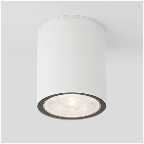 Уличный потолочный светильник Elektrostandard Light LED 2103 IP65 35131/H белый