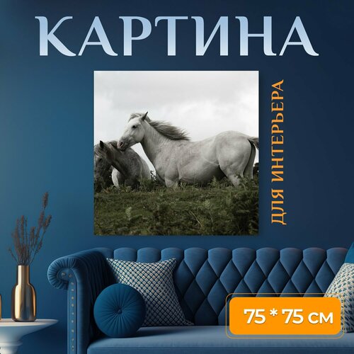 Картина на холсте "Лошадь, животное, белый" на подрамнике 75х75 см. для интерьера