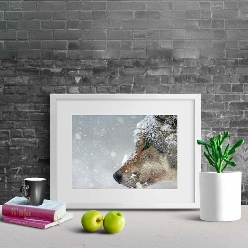 Постер "Волк с зелеными глазами в снегу" Cool Eshe из коллекции "Природа", плакат А4 (29,7 х 21 см) для интерьера