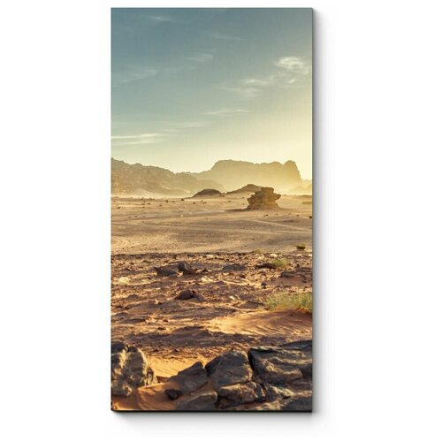 Модульная картина Освещенная солнцем пустыня 20x40