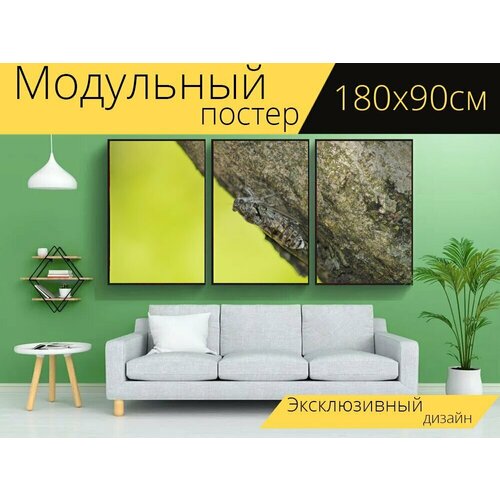 Модульный постер "Цикада, насекомое, природа" 180 x 90 см. для интерьера