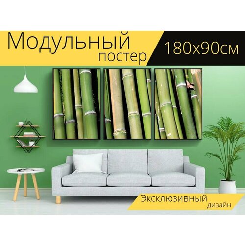 Модульный постер "Бамбук, зеленый, лес" 180 x 90 см. для интерьера