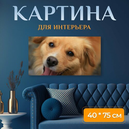 Картина на холсте "Крупный план, собака, желтый" на подрамнике 75х40 см. для интерьера
