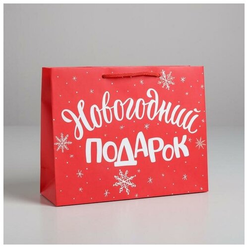 Пакет подарочный ламинированный горизонтальный «Новогодний подарок», MS 23 x 18 × 8 см / Новый год