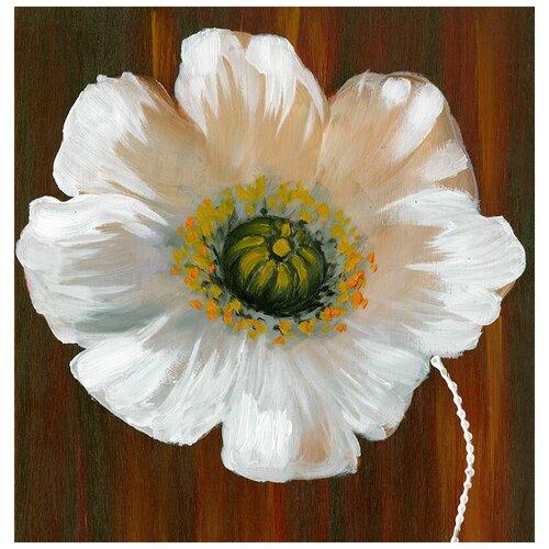 Постер на холсте Белый цветок №5 40см. x 41см.