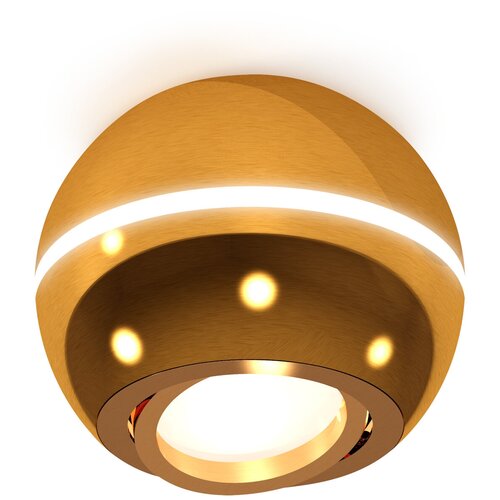 Накладной поворотный светильник XS1105011 PYG золото желтое полированное MR16 GU5.3 LED 3W 4200K (C1105, N7004)