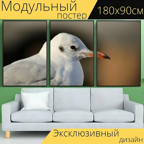 Модульный постер "Чайка, море, птица" 180 x 90 см. для интерьера
