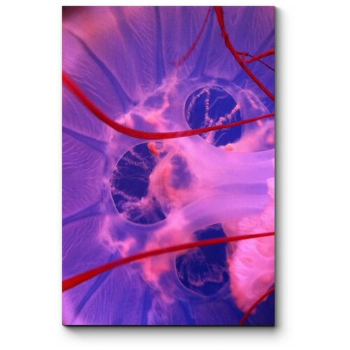 Модульная картина Розовая медуза 40x60