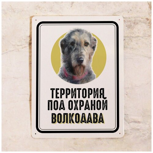 Металлическая табличка Территория под охраной Волкодава на дверь дачи на стену , прикольный подарок владельцу собаки , металл, 20х30см.