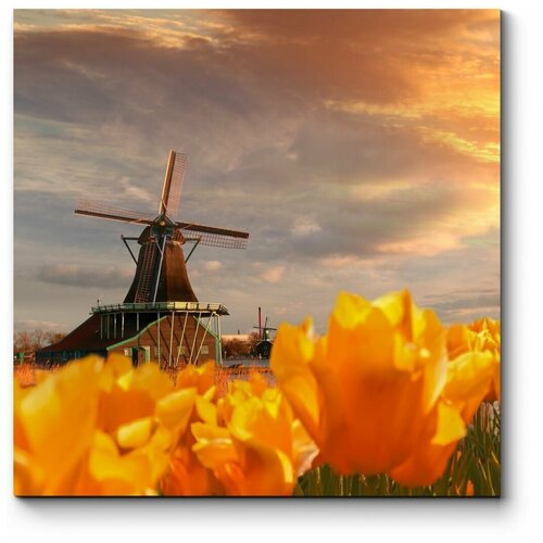 Модульная картина Ветряная мельница и желтые тюльпаны на закате 30x30