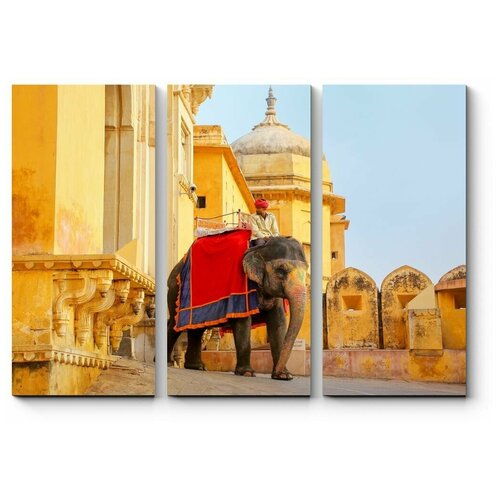 Модульная картина Индийский слон 160x115