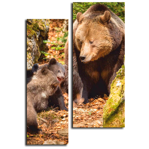 Модульная картина Медведица и медвежата 47х68 см