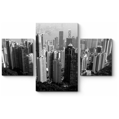 Модульная картина Монохромный Гонконг100x65