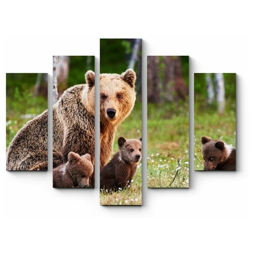 Модульная картина Семья очаровательных медведей 75x60