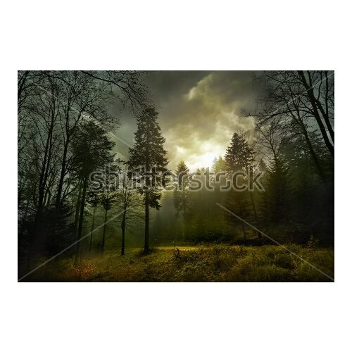 Постер на холсте Осенний лесной пейзаж с лучами тёплого света 75см. x 50см.