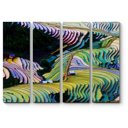 Модульная картина Рисовые поля, Вьетнам 110x83