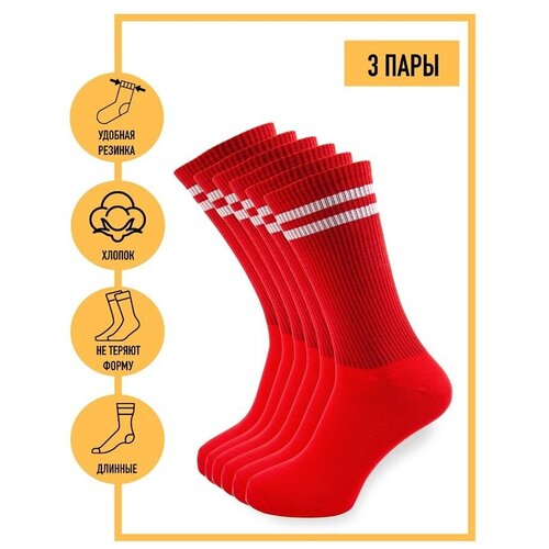 Носки Годовой запас носков, 3 пары, размер 25 (39-41), красный