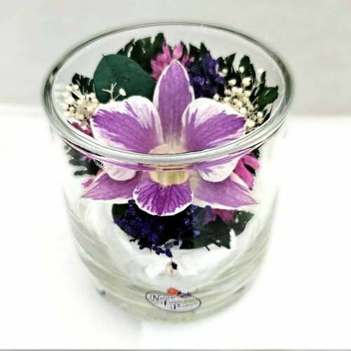 Natural Flowers Орхидея в стекле SMO2 (9 см)