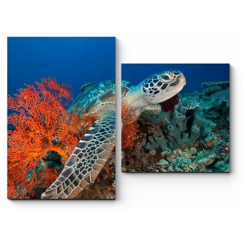 Модульная картина Морская черепаха в кораллах180x135