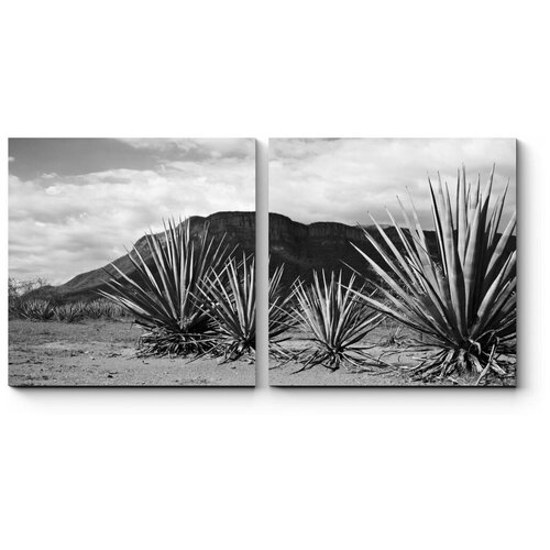 Модульная картина Мексиканский пейзаж 160x80