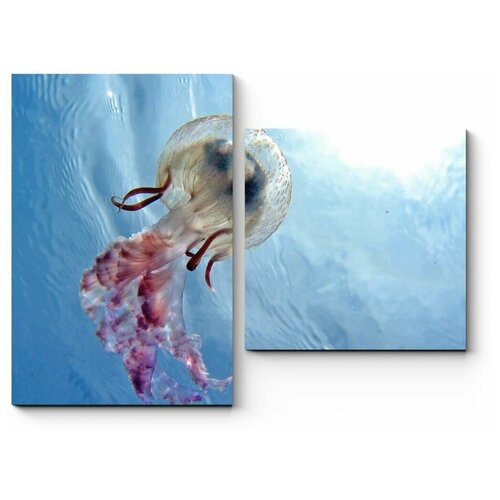 Модульная картина Прекрасная медуза90x68