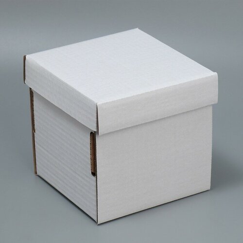 Складная коробка Белая, 166 х 155 х 153 см 5 шт