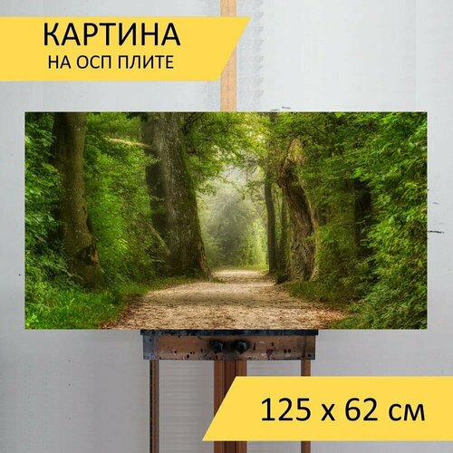 Картина на ОСП 125х62 см. "Дорожка, лес, природа" горизонтальная, для интерьера, с креплениями