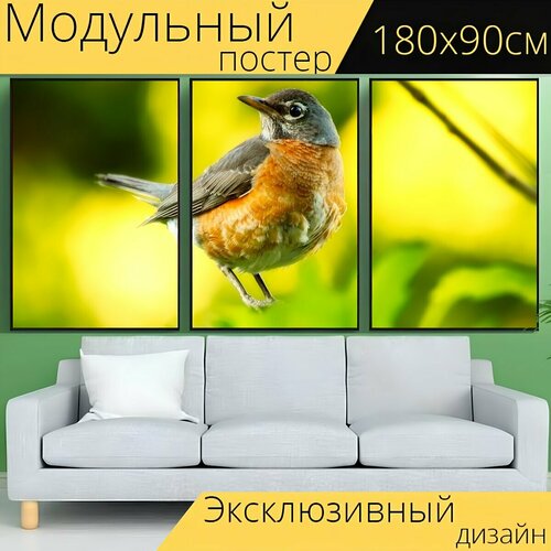 Модульный постер "Робин, птица, дикая природа" 180 x 90 см. для интерьера