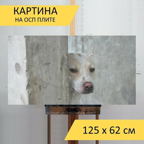 Картина на ОСП 125х62 см. "Собака, домашний питомец, животное" горизонтальная, для интерьера, с креплениями