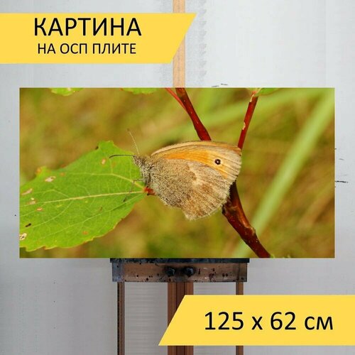 Картина на ОСП 125х62 см. "Природа, лист, насекомое" горизонтальная, для интерьера, с креплениями