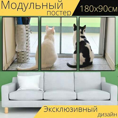 Модульный постер "Кошка, животное, шерсть" 180 x 90 см. для интерьера