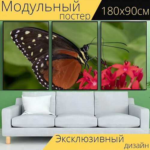 Модульный постер "Бабочка, куст, цветок" 180 x 90 см. для интерьера