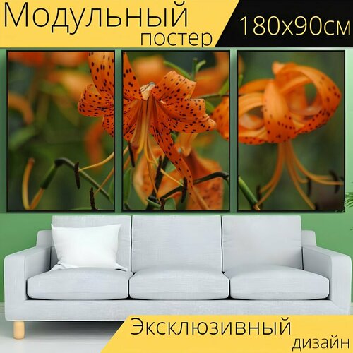 Модульный постер "Лилия, тигровая, оранжевый" 180 x 90 см. для интерьера