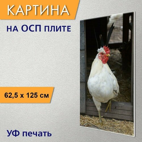 Вертикальная картина на ОСП "Курица, куры, петух" 62x125 см. для интерьериа