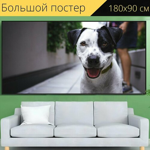 Большой постер "Собака, домашний питомец, собачий" 180 x 90 см. для интерьера