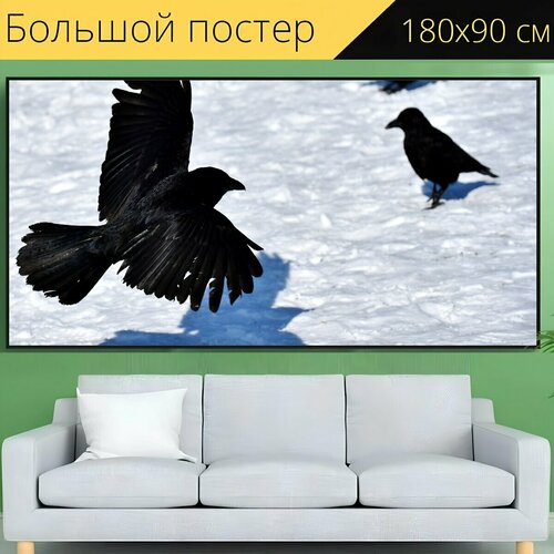 Большой постер "Обыкновенный ворон, ворона, снег" 180 x 90 см. для интерьера