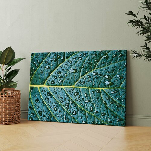Картина на холсте (Листья макро, капли фон, листок на телефон мокрый, текстура) 50x70 см. Интерьерная, на стену.