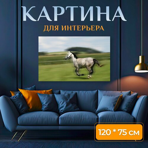 Картина на холсте "Лошадь, плесень, галопом" на подрамнике 120х75 см. для интерьера