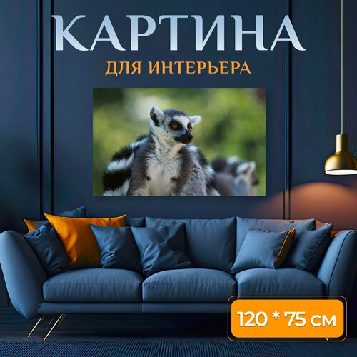 Картина на холсте "Лемур, лемуры, животное" на подрамнике 120х75 см. для интерьера